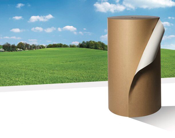 7 Essential Types of Paperboard Grades for Box Printing: A Guide for ...