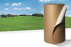 7 Essential Types of Paperboard Grades for Box Printing: A Guide for ...